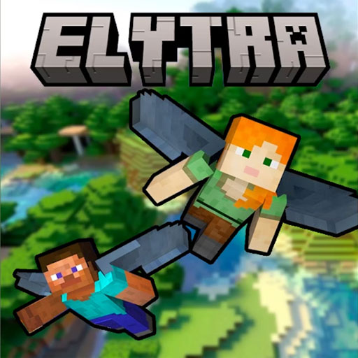 Elytra Flight